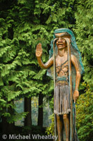 Michael Wheatley Photography